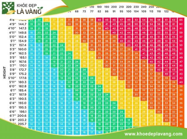 Chỉ số BMI là gì? Ảnh hưởng thế nào đến chiều cao?